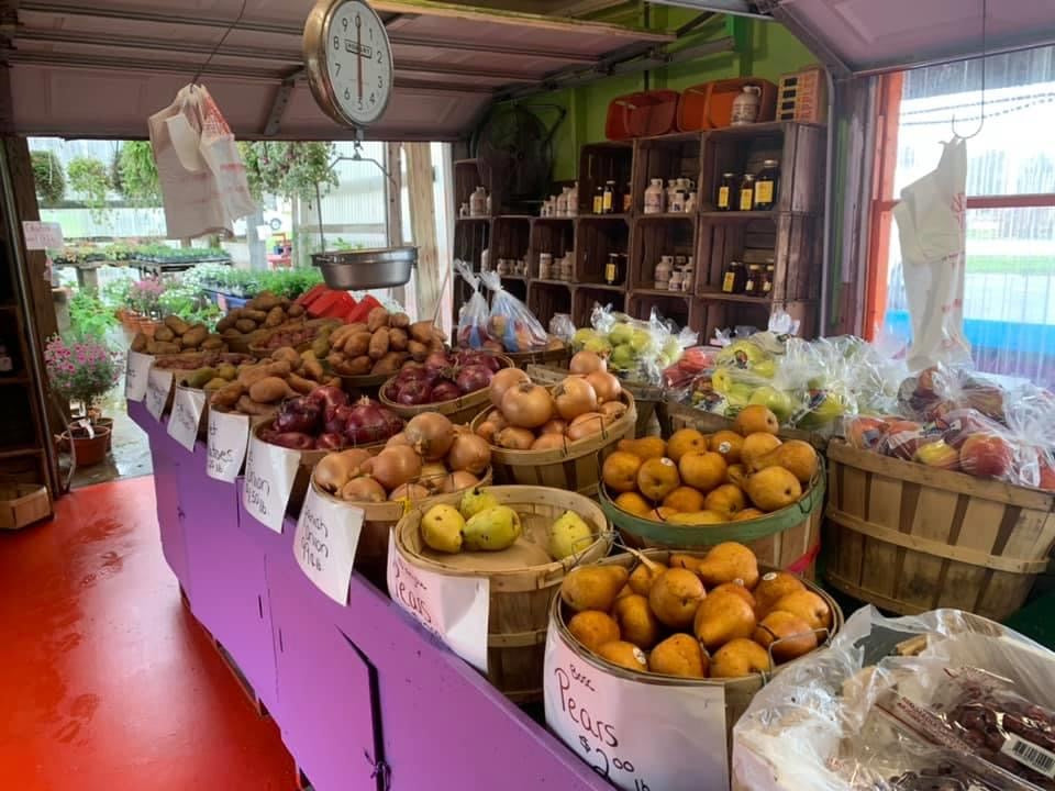 Lyons Fruit Farm – Lyons Fruit Farm and Market