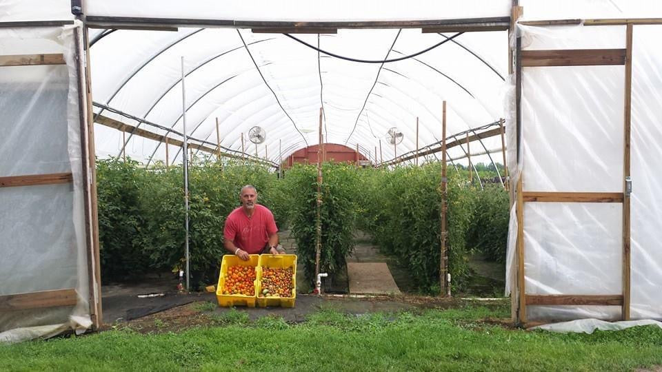 Lyons Fruit Farm – Lyons Fruit Farm and Market