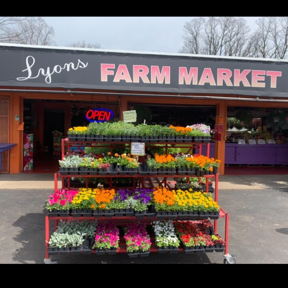 Lyons Fruit Farm – Lyons Fruit Farm and Market