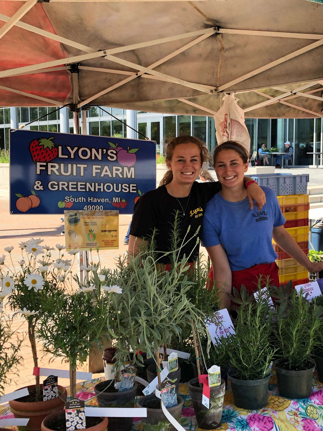 Lyons Fruit Farm – Lyons Fruit Farm and Market