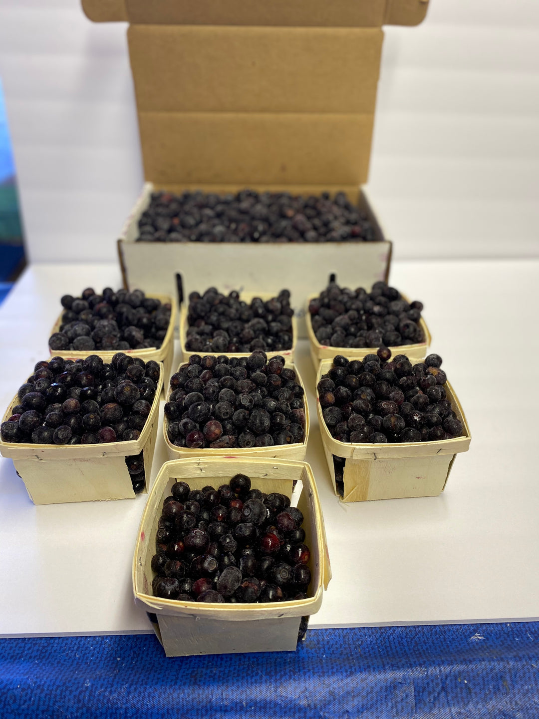 Frozen Blueberries 5lb box – Lyons Fruit Farm and Market